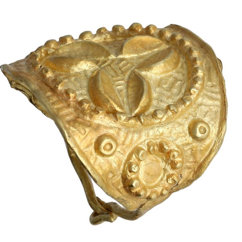 Celtic ruler's 2,000-year-old ring kept in cupboard for 28 years - BBC News