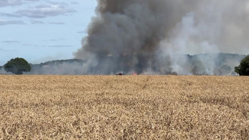 Highest risk of any wildfires becoming severe in parts of Devon - BBC News