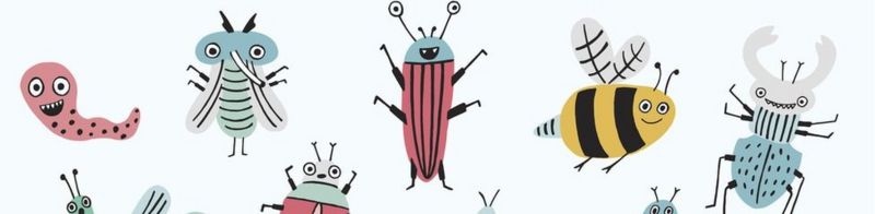 Bug hunters: The hackers earning big bucks... ethically - BBC News