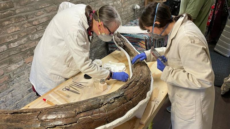 'Exceptional' mammoth graveyard discovered near Swindon - BBC News
