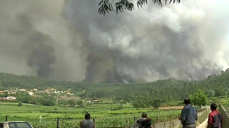 Madeira wildfires: Three dead as flames reach Funchal - BBC News