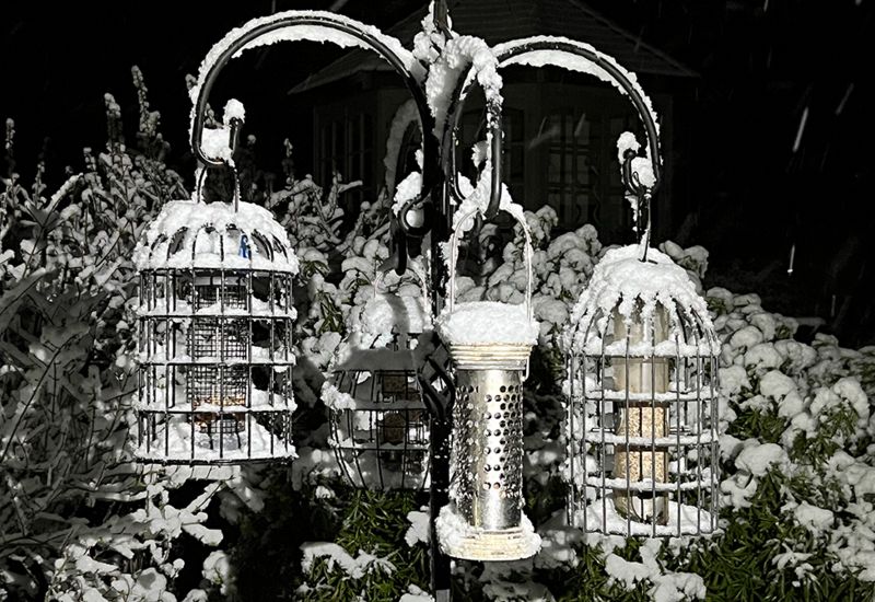 BBC Weather Watchers capture the snow in the East of England - BBC News