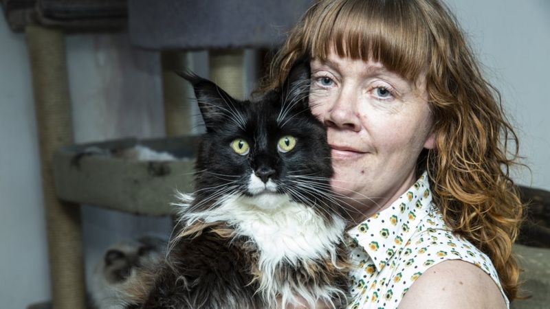 Cat of The Year Awards: Inspiring tails of the UK's finest felines ...