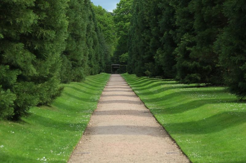 Your pictures on the theme of 'pathway' - BBC News