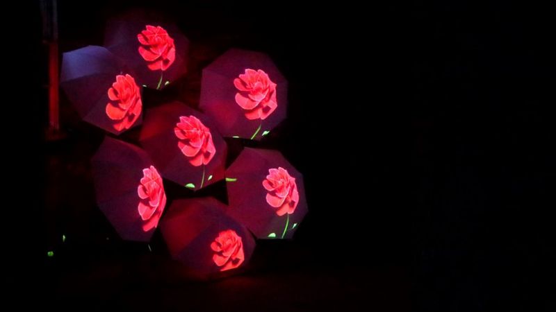 In pictures: House of Imagination at Moat Brae in Dumfries - BBC News