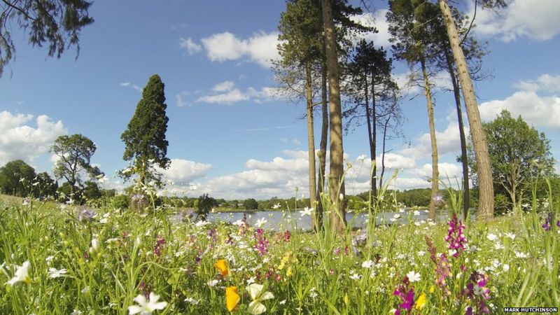 Your July weather photos - BBC Weather