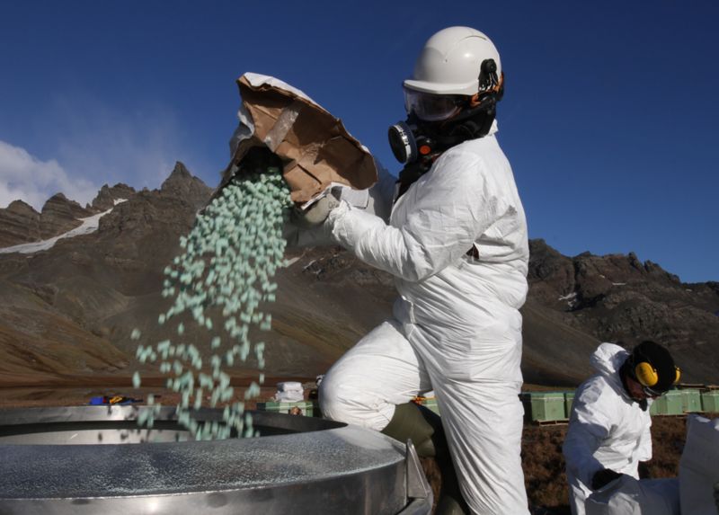 Rats driven from South Georgia's wildlife paradise - BBC News