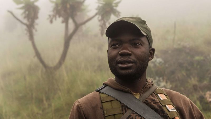 DR Congo's Virunga National Park: The deadly job of protecting gorillas ...