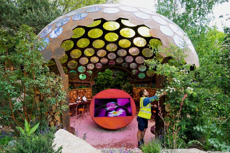 Picnics and blooms: The Chelsea Flower Show in pictures - BBC News