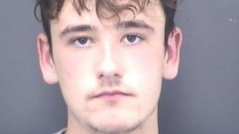 Cameron Hamilton death: Teen sentenced over knife used in fatal ...