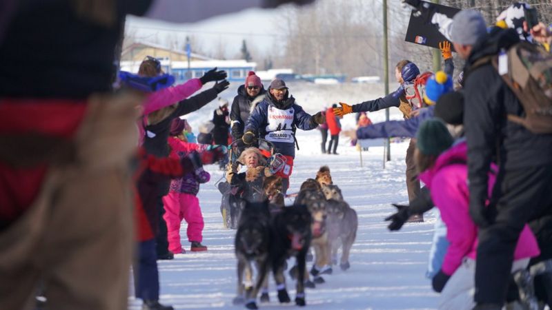 Alaska dog sled race: Crowds gather before Iditarod race starts - BBC News
