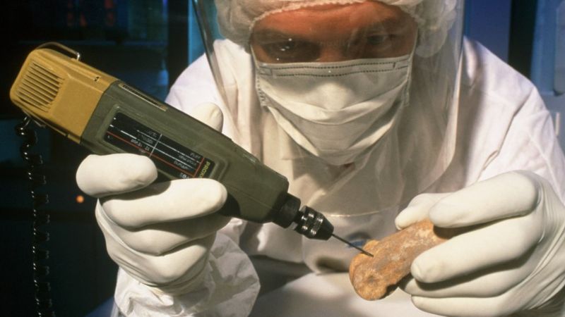 Viewpoint: Why we still underestimate the Neanderthals - BBC News