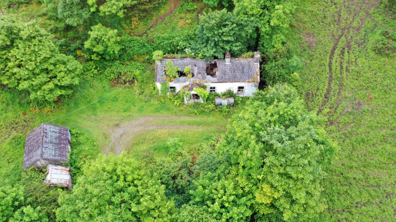 What happened to Mary Boyle? No body recovered - BBC News