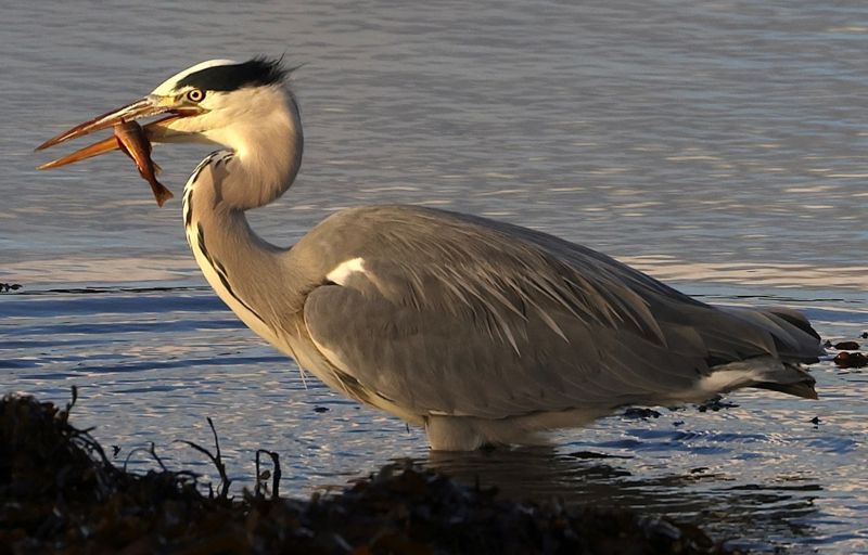 Your pictures of Scotland: 10-17 November - BBC News