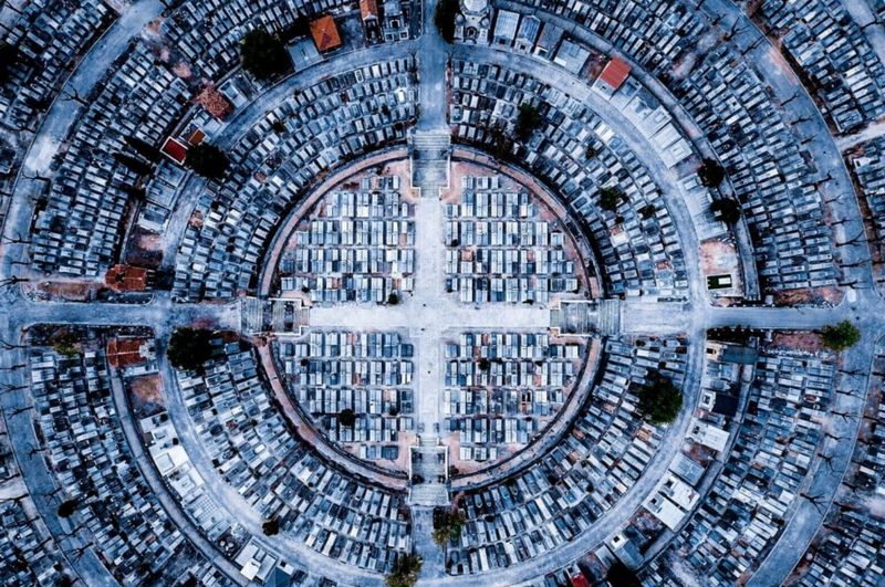 In pictures: A bird's eye view - BBC News