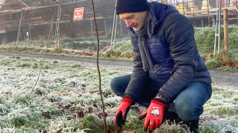One Million Trees Project aims to double Belfast's tree cover - BBC News