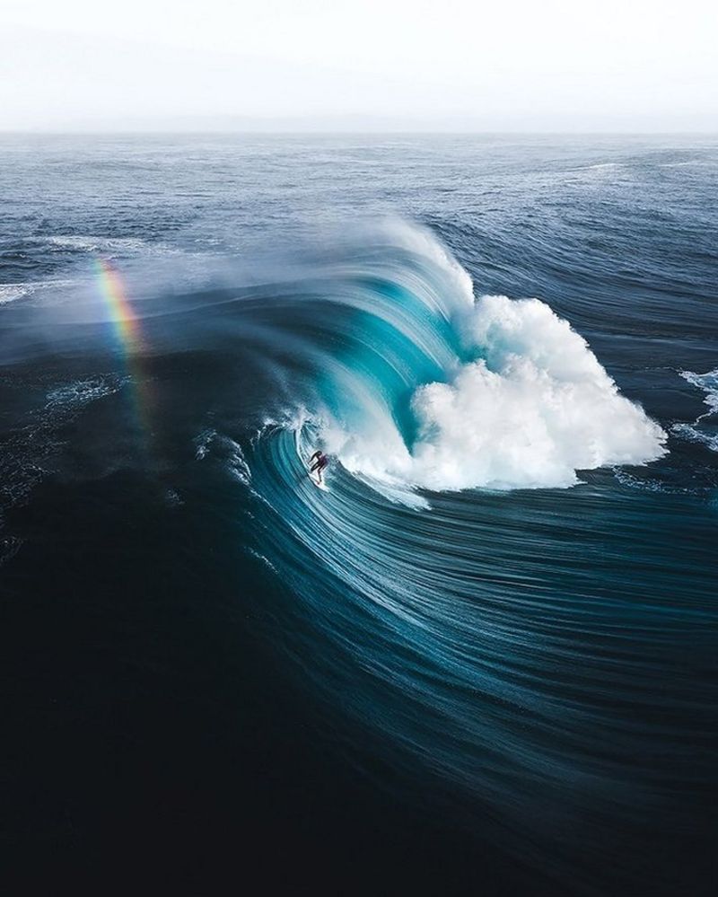 Ocean Photographer of the Year: Award winning photos - BBC Newsround