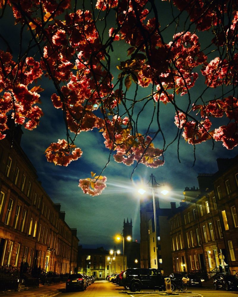 Your pictures of Scotland: 15 April - 22 April - BBC News