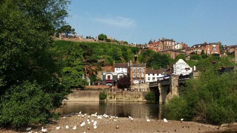 In Pictures: England soaks up more hot weather - BBC News