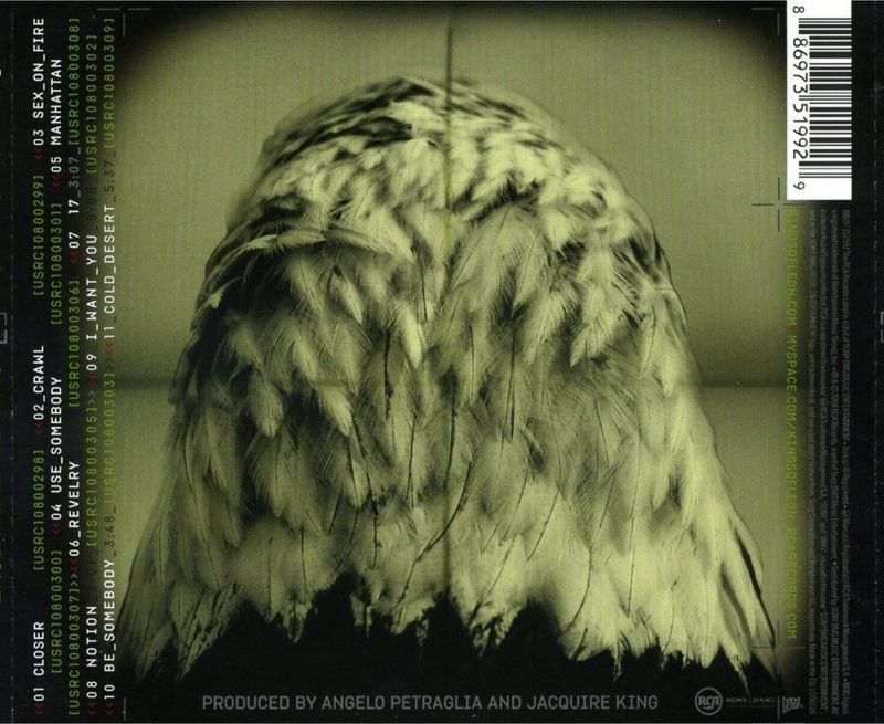 Kayla the Eagle: Who is Crystal Palace's mascot? - BBC News