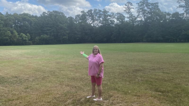 Texas woman injured after hawk drops snake on her - BBC News