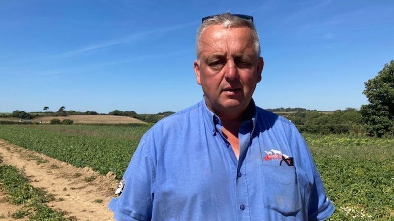 Climate change: Wales' wet, green landscape at risk - expert - BBC News