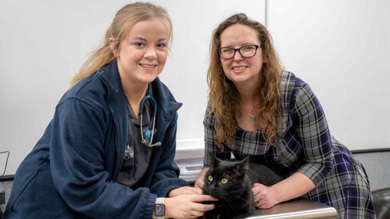 Sheffield cat lost in snowstorm reunited with owner three years later ...