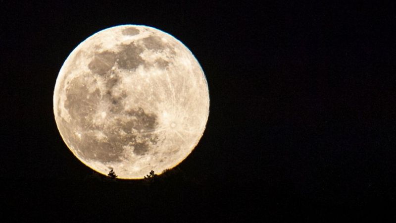 Snow Moon: Pictures from around the world - BBC Newsround