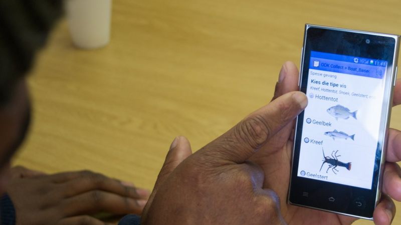 How smartphones are proving clickbait for fishermen - BBC News