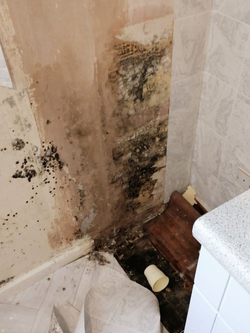Sensors detect damp and mould in Glasgow social housing - BBC News