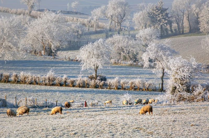 Northern Ireland weather: Ice warning issued as cold snap moves in ...