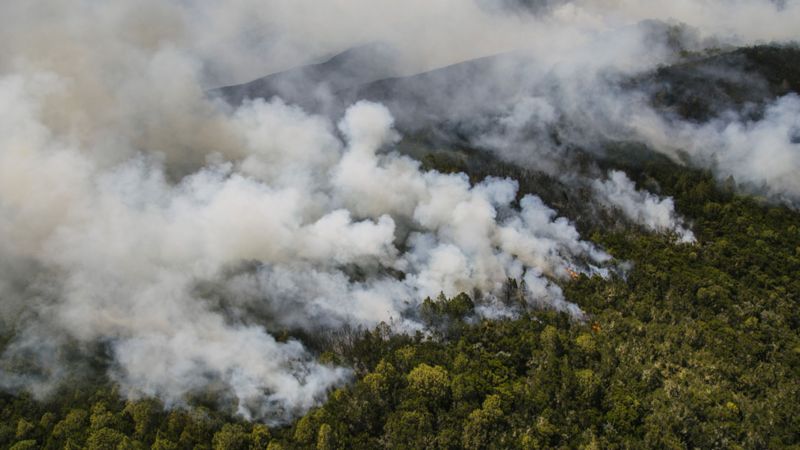 Mount Kenya wildfire: Marijuana farmers blamed - BBC News