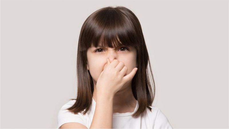 How animal poo can help the environment! - BBC Newsround