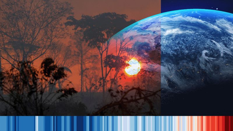 COP27: What have global leaders done on climate change in 2022? - BBC News