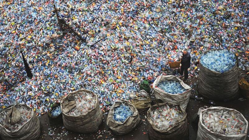 Plastic-eating bacteria could help to solve a pollution problem ...