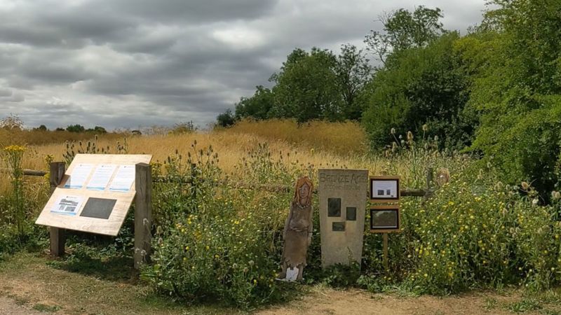 Stanwick Lakes: Bronze Age barrow freed from decades of brambles - BBC News
