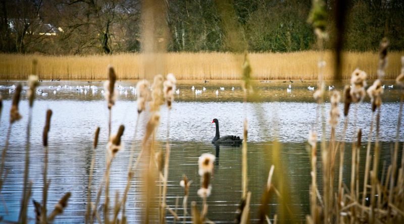 Your pictures of Scotland: 3-10 March - BBC News