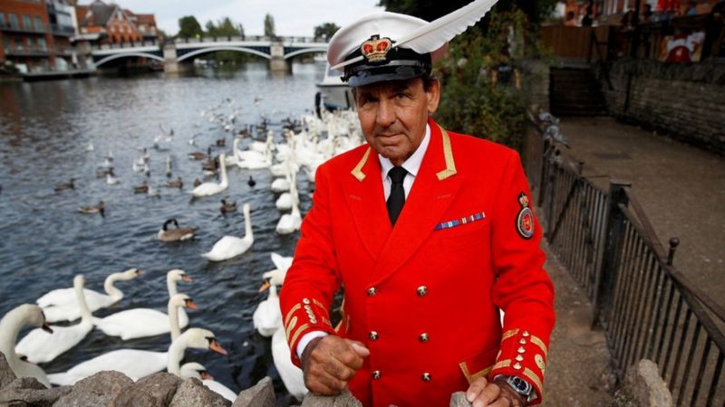Queen Elizabeth II: Swan Marker David Barber recalls monarch's interest ...