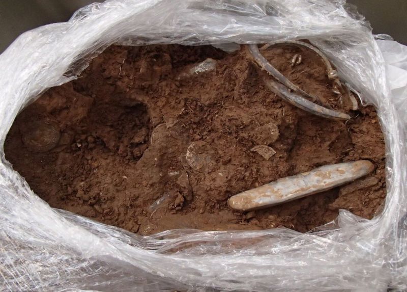 Watlington 'rare' Viking hoard found by metal detectorist - BBC News