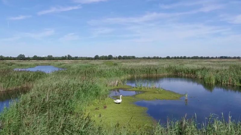 RSPB Ouse Fen trails link Cambridgeshire reserve to villages - BBC News