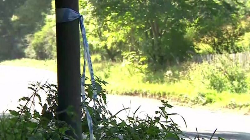 Ripon raises £35k for Ukrainian teen who lost family in A61 crash - BBC ...