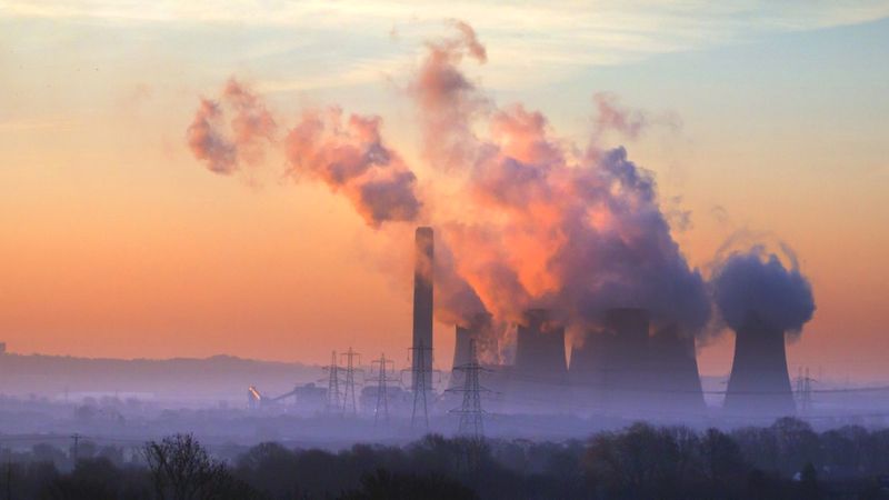 Biodiversity loss risks 'ecological meltdown' - scientists - BBC News