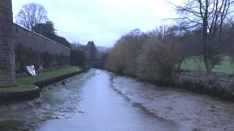 Wells Bishop's Palace moat drained in error - BBC News