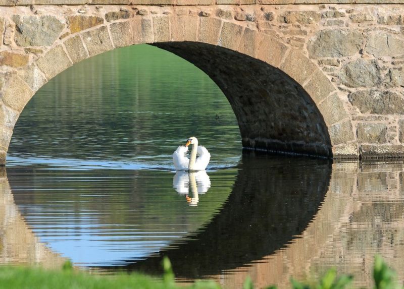 Your pictures of Scotland: 6 -13 May - BBC News