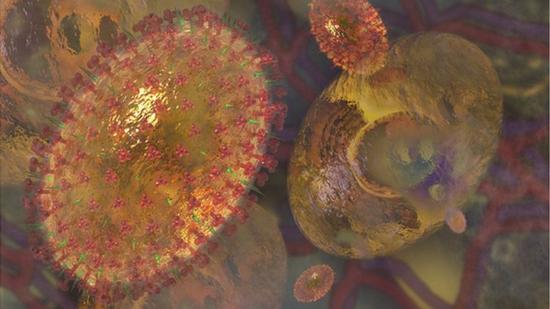 Winter flu: Should we expect the worst? - BBC News