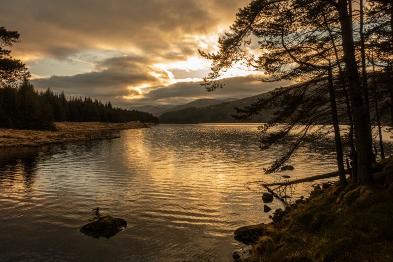 Your pictures of Scotland: 21-28 April - BBC News