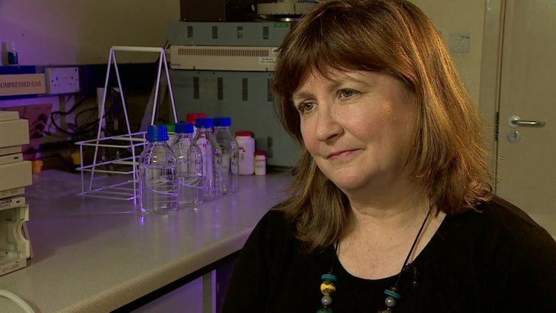 Ben Needham: Blood found on sandal and inside toy car - BBC News