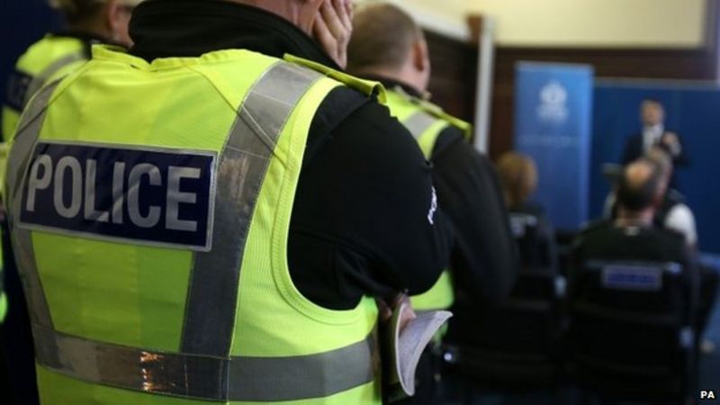 Serious crime gangs in Scotland 'diversifying' - BBC News