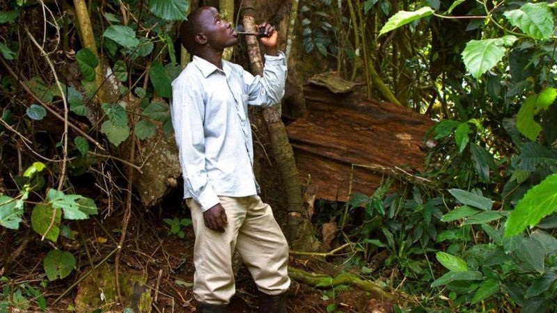 Los emandwa: los sanadores ugandeses que hablan con el espíritu que ...