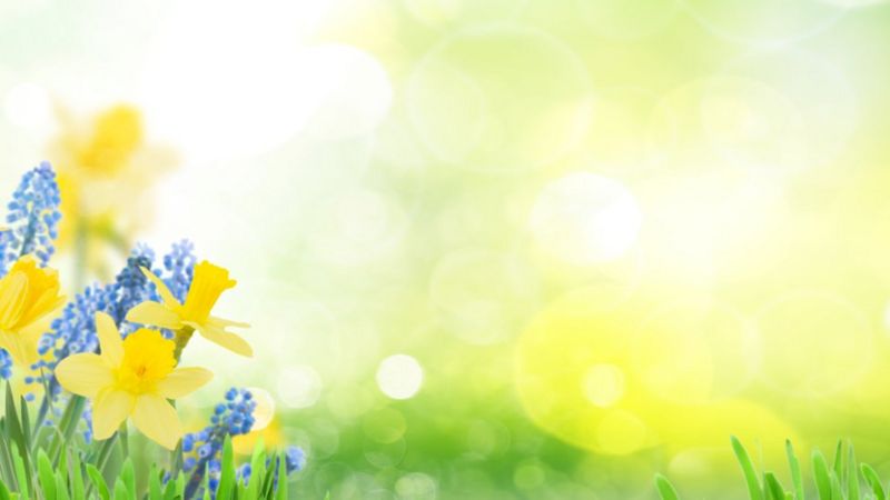 Equinox v equilux - what's the difference? - BBC News